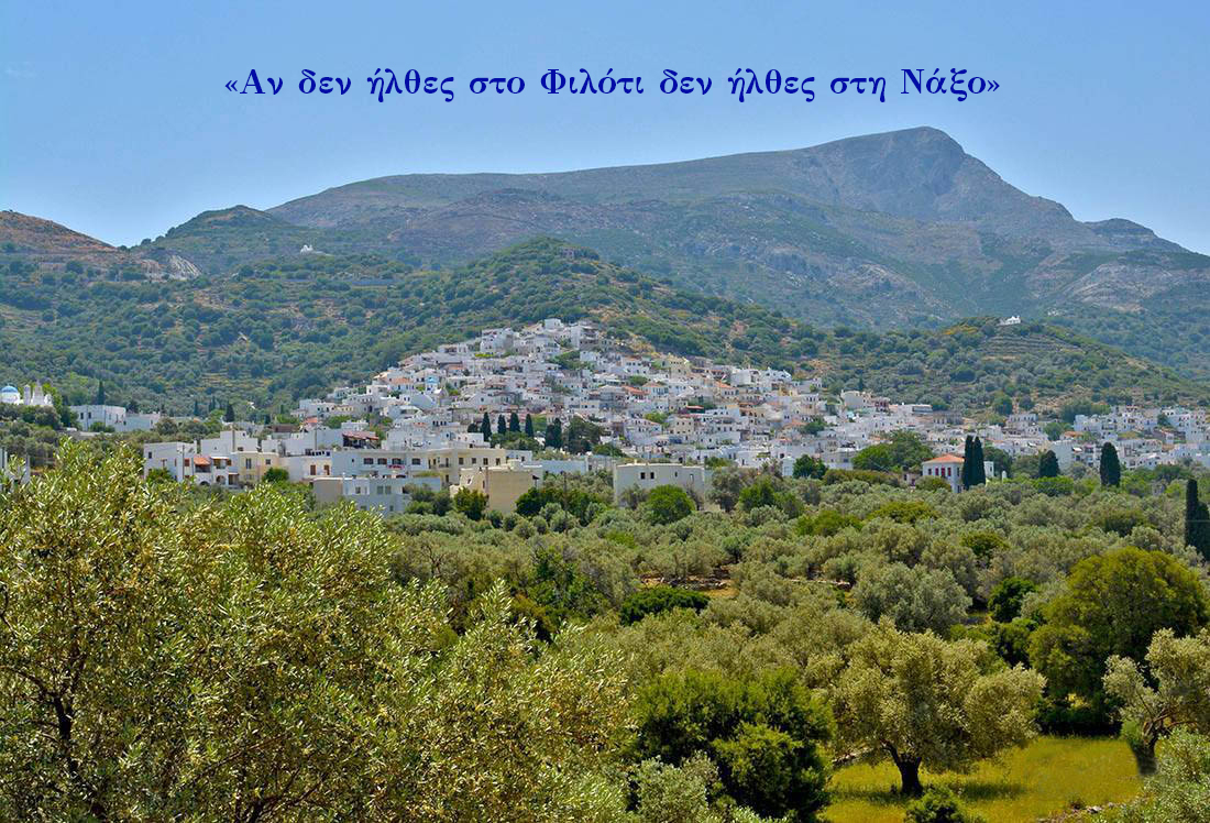 Οι καλοκαιρινές εκδηλώσεις του συλλόγου Φιλωτιτών - Κυκλαδίτης